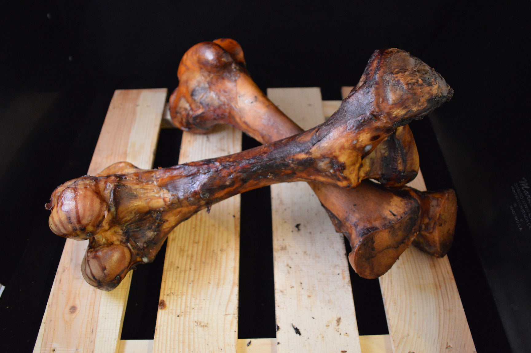 Whole Beef Femur – Junkyard Bone Box